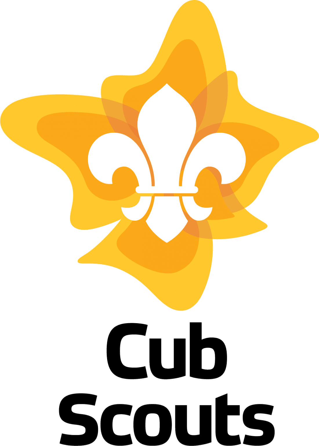 Cub Scouts - Scouts WA OneCamp 2026 – Discover