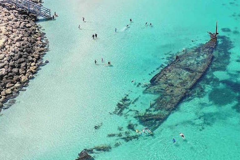 Adventure - Scouts WA OneCamp 2023 – Eclipse